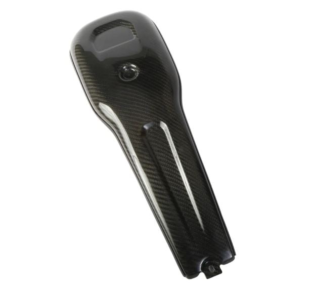 Hofmann Designs Lowrider S & ST Carbon Fiber Dash | Forever Rad